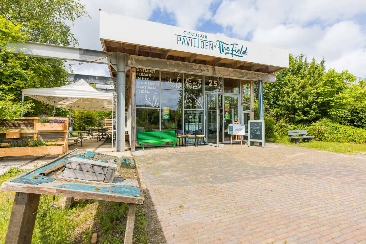 Team The Field - The Field Leiden